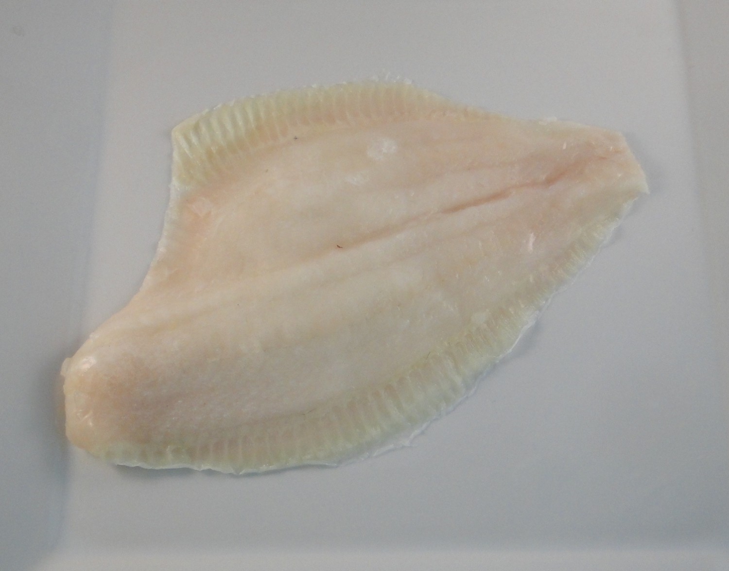 Scholfilet 100-150g - Farskfood.com